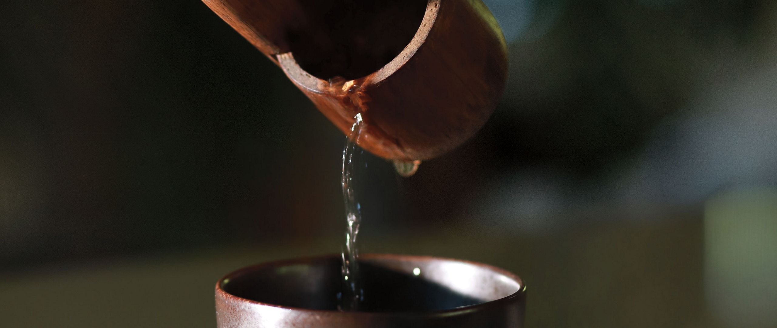 The Pleasures of Sake